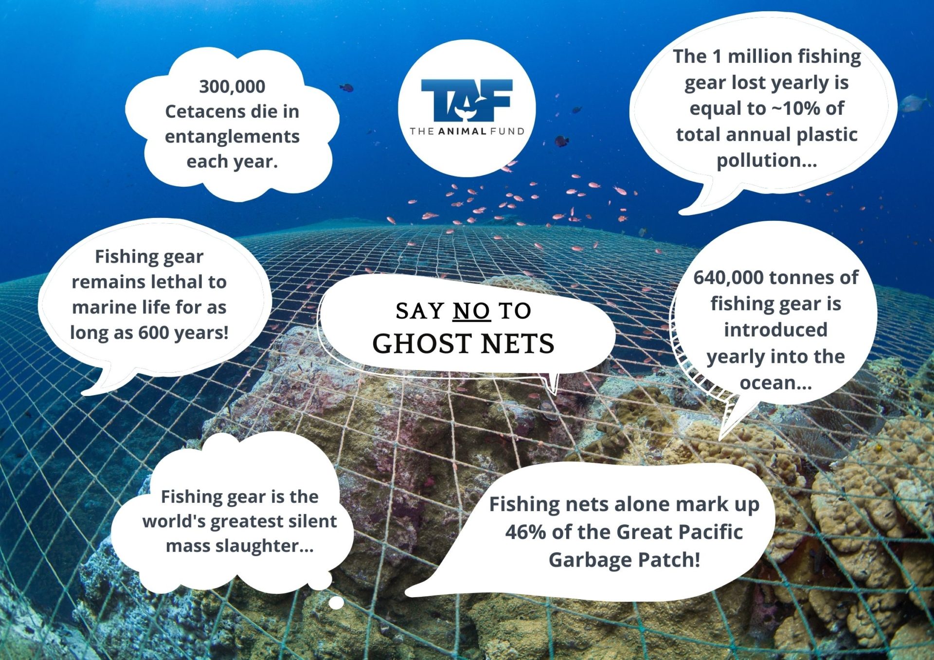 Overfishing & Ghostnet Campaign – TAF – The Animal Fund